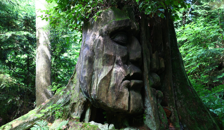 Four Unearthed Arcana Subclasses We’d Love to See Get Another Go ...